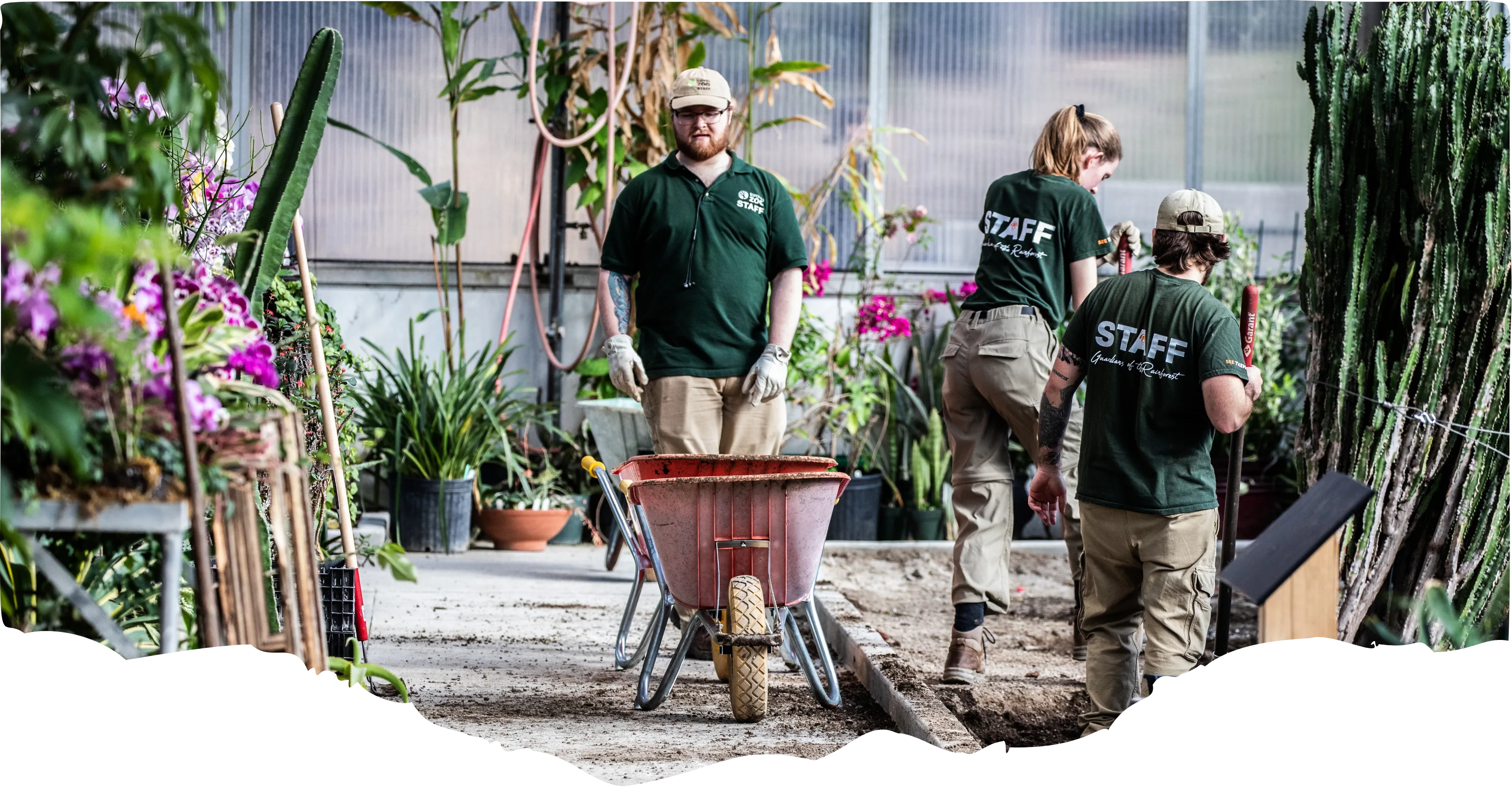 Let’s Talk Gardens: The Toronto Zoo Horticulture Team’s Secret to ...