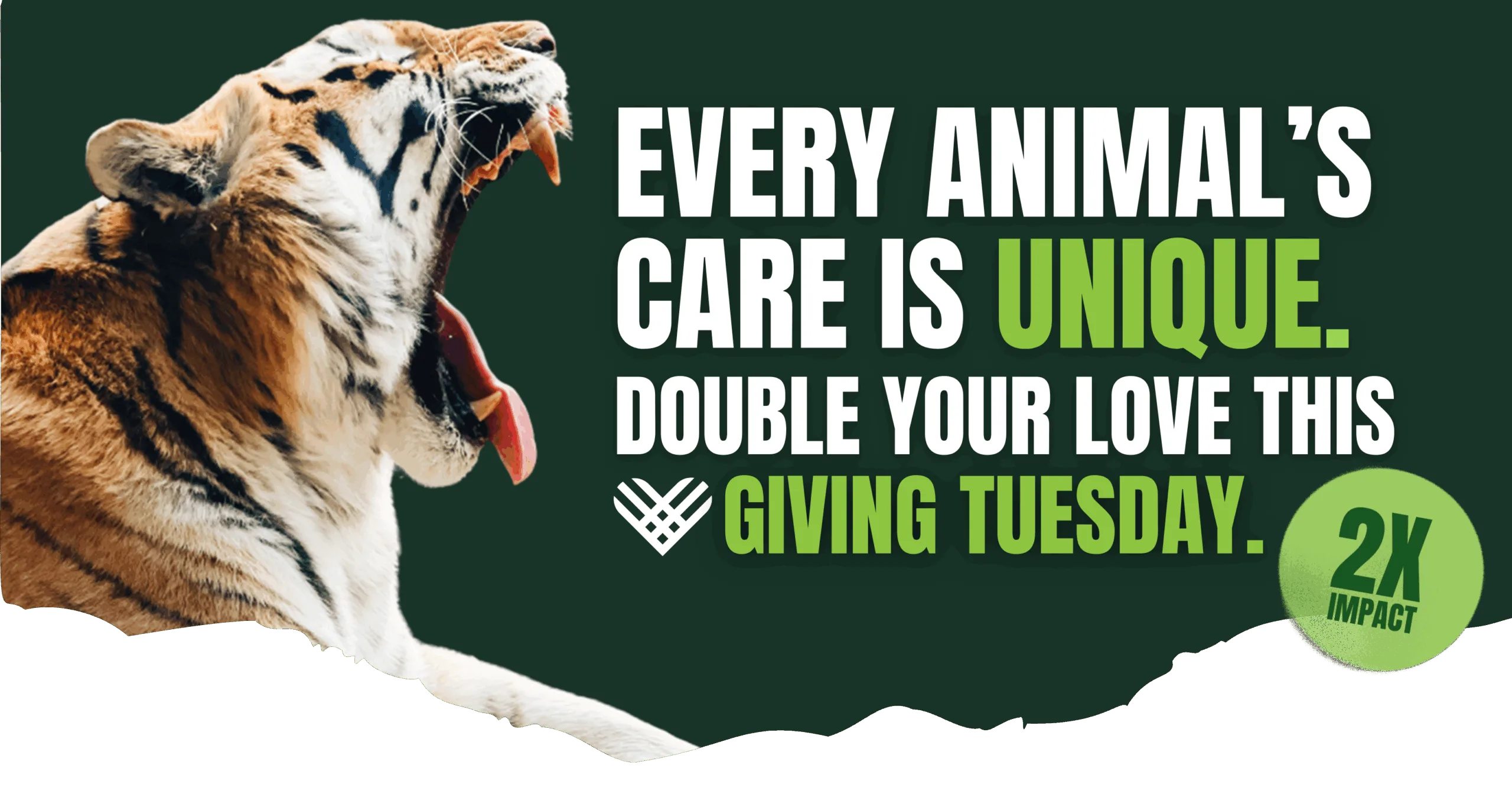 Taking Animal Care to the Next Level at Your Toronto Zoo - Toronto Zoo ...